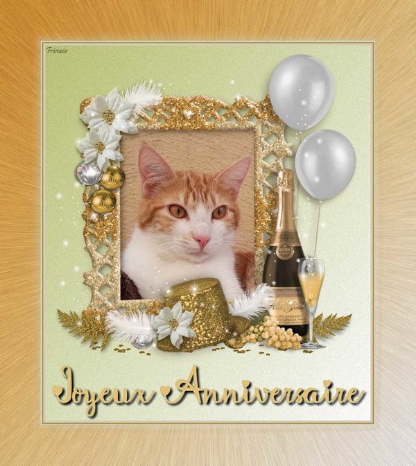 Joyeux Anniversaire Ana